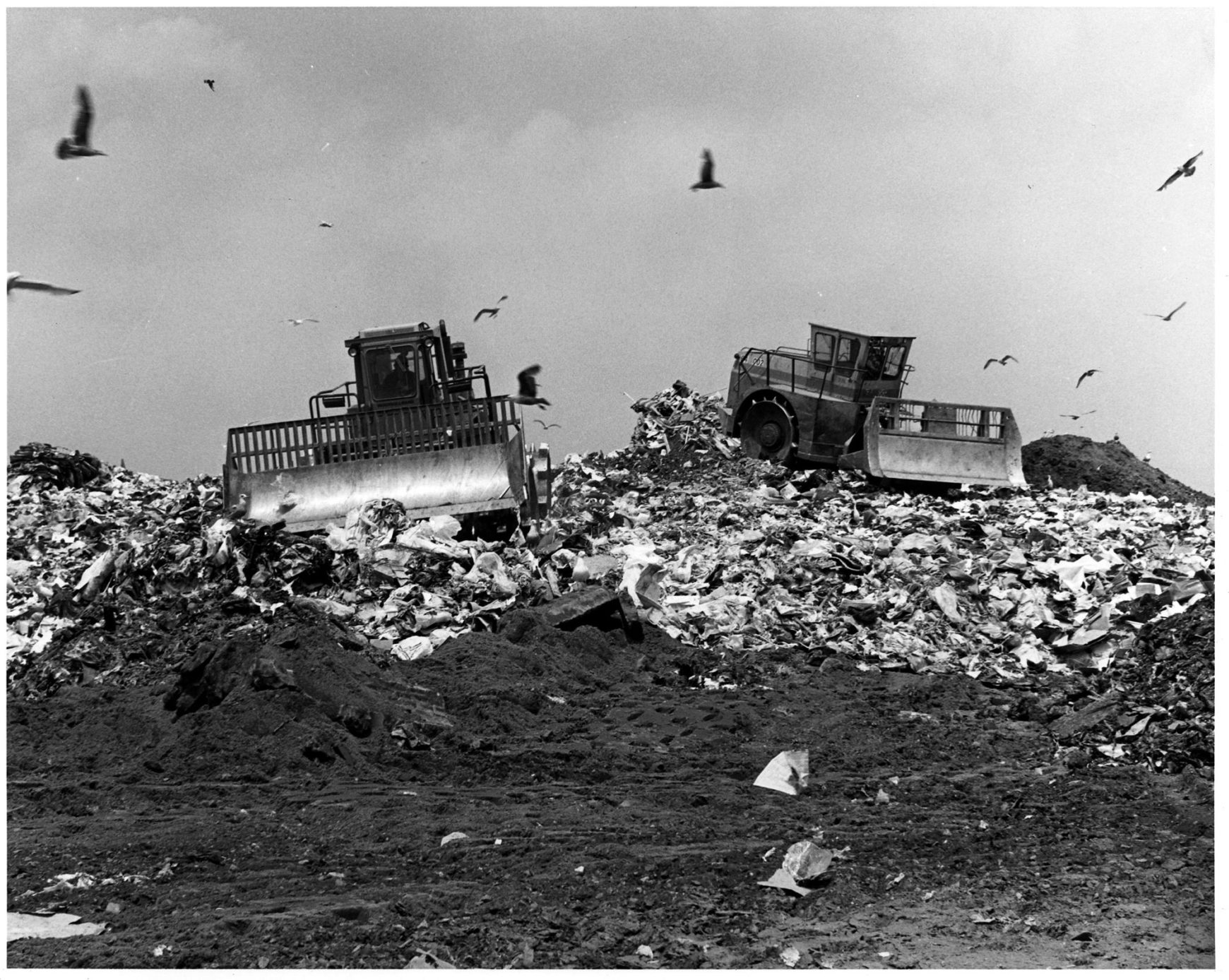 How Did We Get Here? - Zero Waste